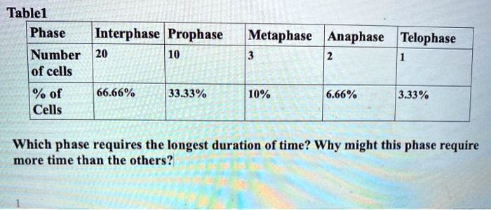 SOLVED: Tablel Phase Interphase | Prophase Number 20 of cells Metaphase Anaphase Telophase % of ...