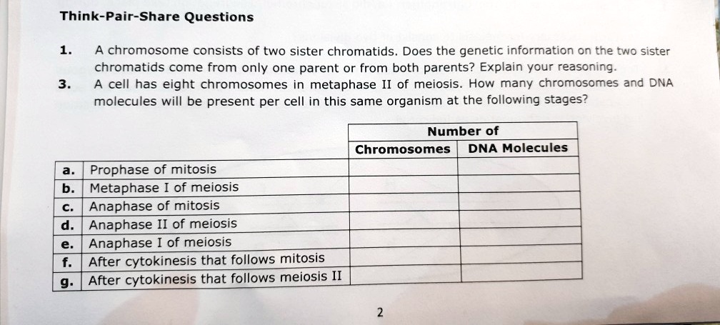 think pair share questions a chromosome consists of two sister chromatids does the genetic ...