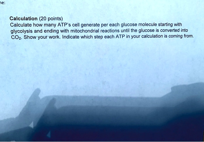 SOLVED: 1e: Calculation (20 points) Calculate how many ATP's cell ...
