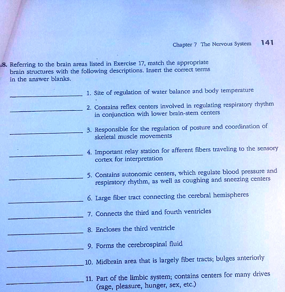 Chapter 7 The Nervous System 141 18. Referring to the brain areas ...
