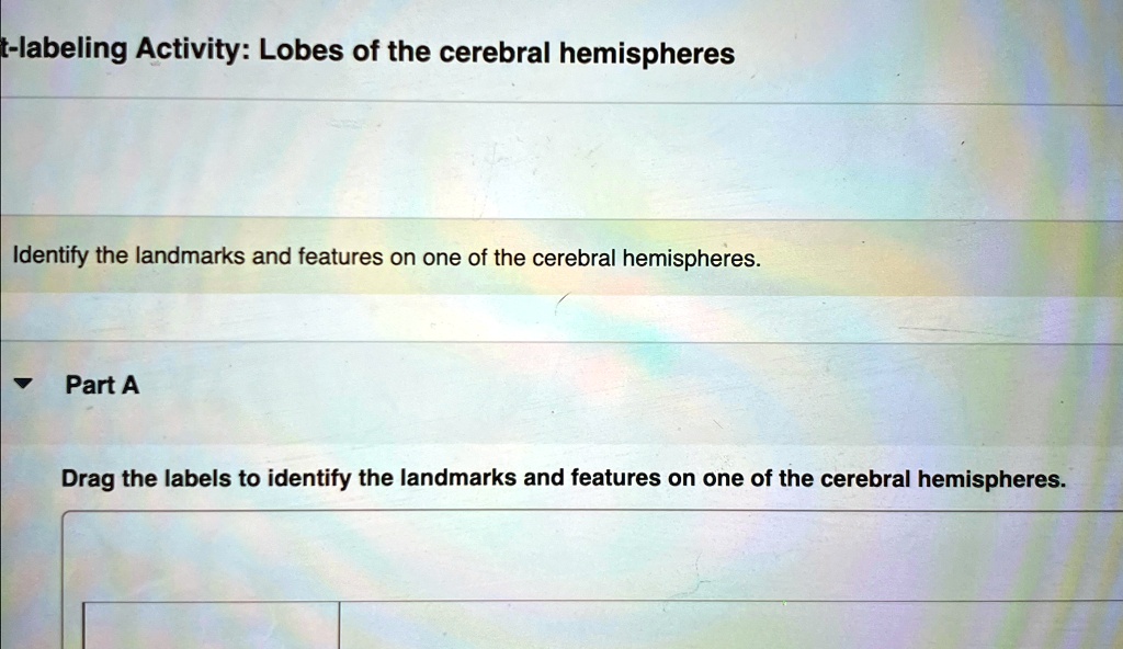 Labeling Activity: Lobes of the Cerebral Hemispheres Identify the ...