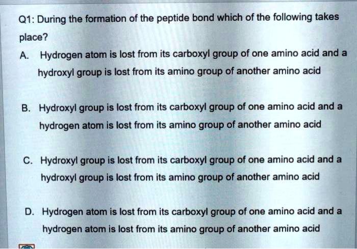 SOLVED: Q1: During the formation of the peptide bond which of the ...