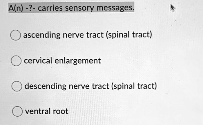 SOLVED: A(n) -? - carries sensory messages: ascending nerve tract ...