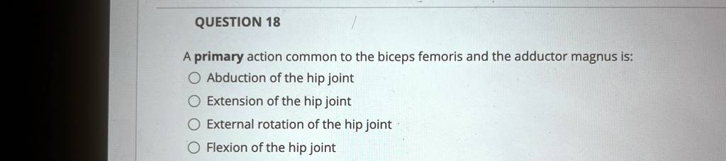 [GET ANSWER] question 18 a primary action common to the biceps femoris ...