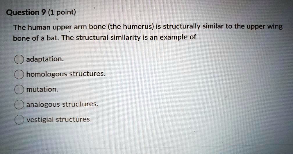 SOLVED: Question 9 (1 point) The human upper arm bone (the humerus) is structurally similar to ...