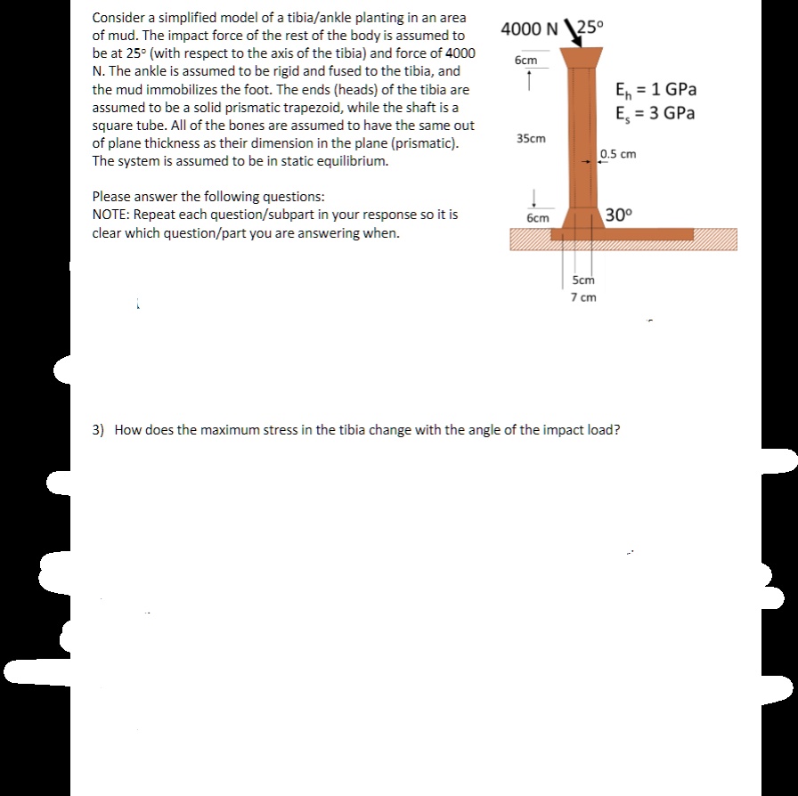 Solved Consider A Simplified Model Of A Tibia Ankle Planting In An