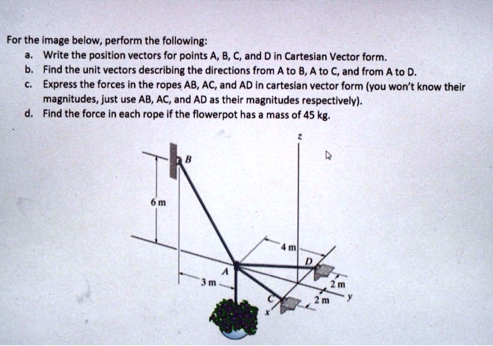 for the image below perform the following write the position vectors ...