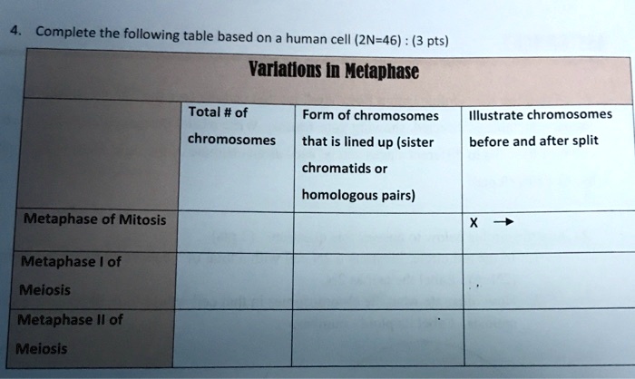 SOLVED: Complete the following table based on human cell (2N-46) (3 pts ...