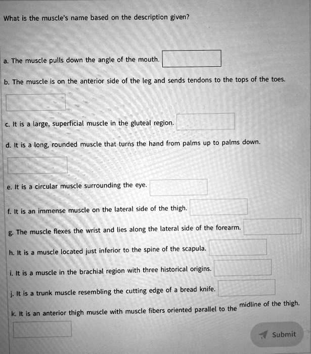 SOLVED: What is the muscle's name based on the description given? a ...