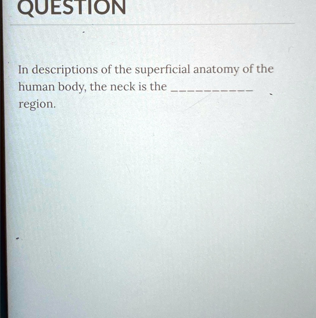 QUESTION In descriptions of the superficial anatomy of the human body ...