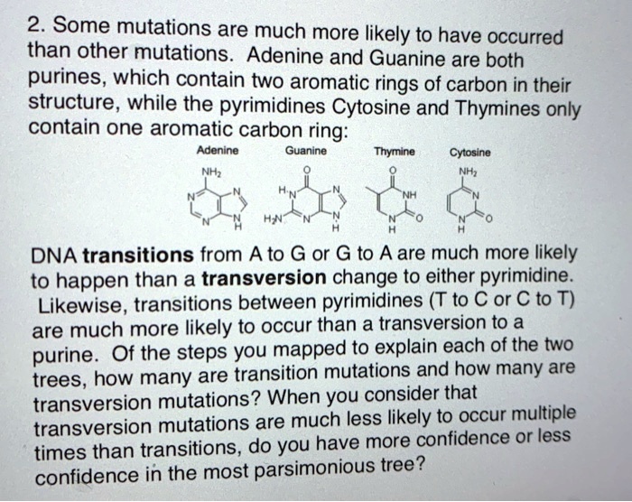2 some mutations are much more likely to have occurred than other ...
