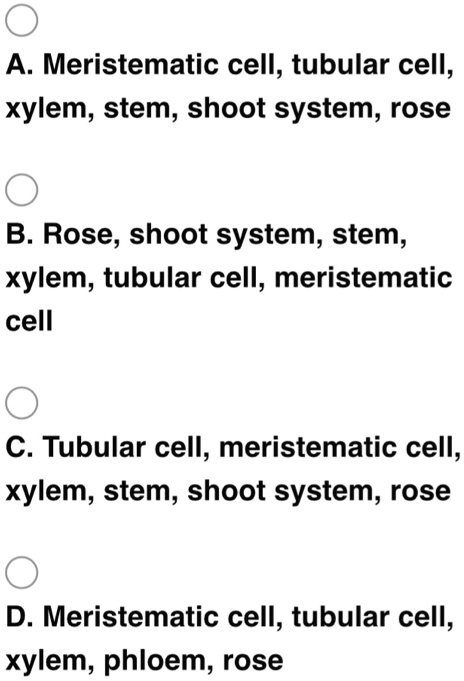SOLVED: A Meristematic cell, tubular cell, xylem, stem, shoot system ...