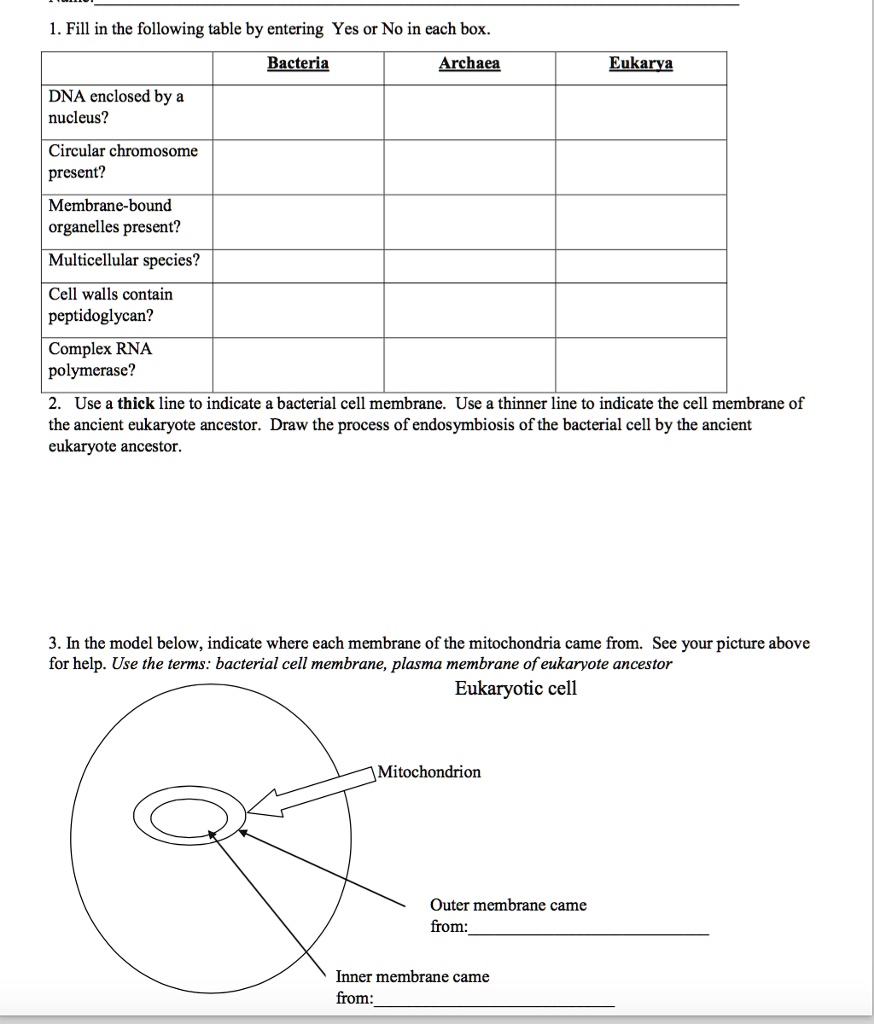 SOLVED:1. Fill in the following table by entering Yes or No in each box ...