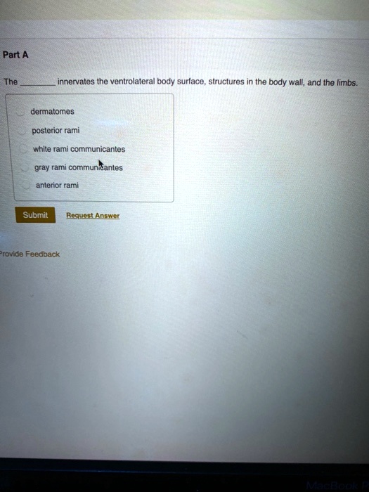 SOLVED: The dermatomes innervate the ventrolateral body surface ...