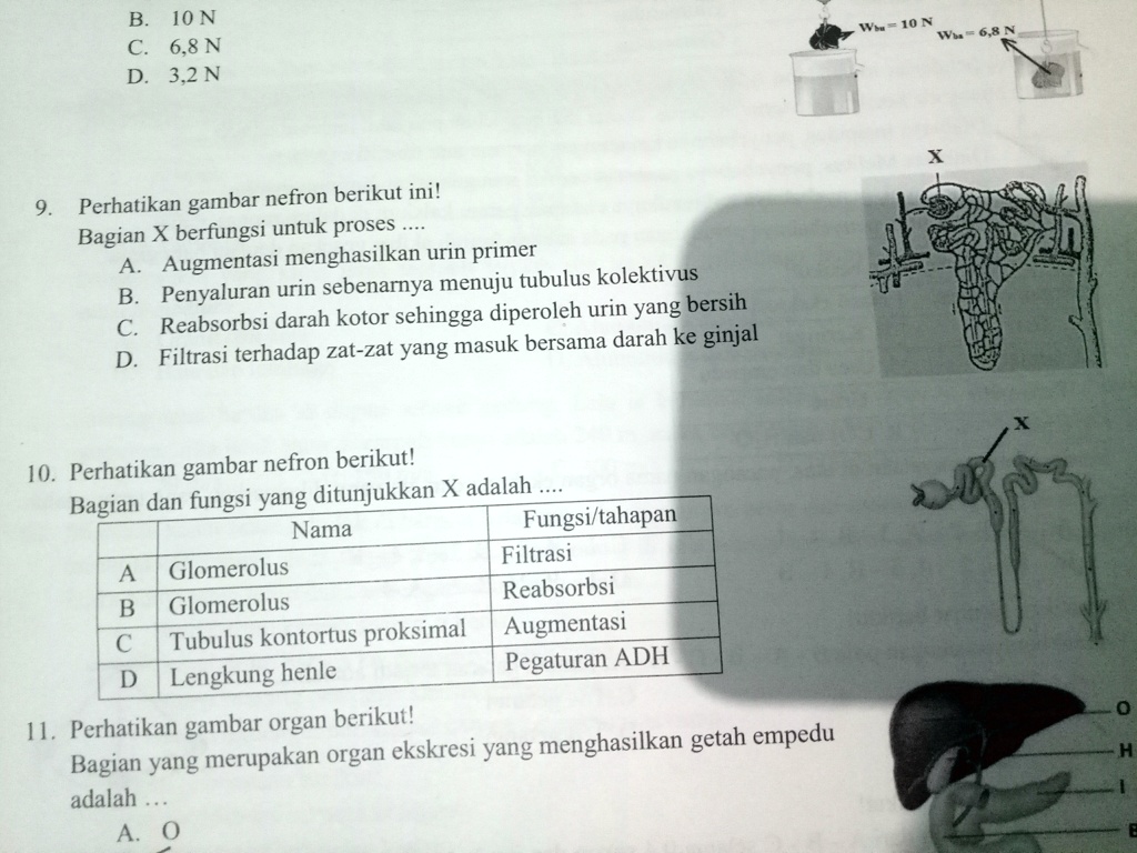 no 9 sm 10 tolong bantu b 10 n c 68 n d 32 n we 10 n wt 68 perhatikan ...