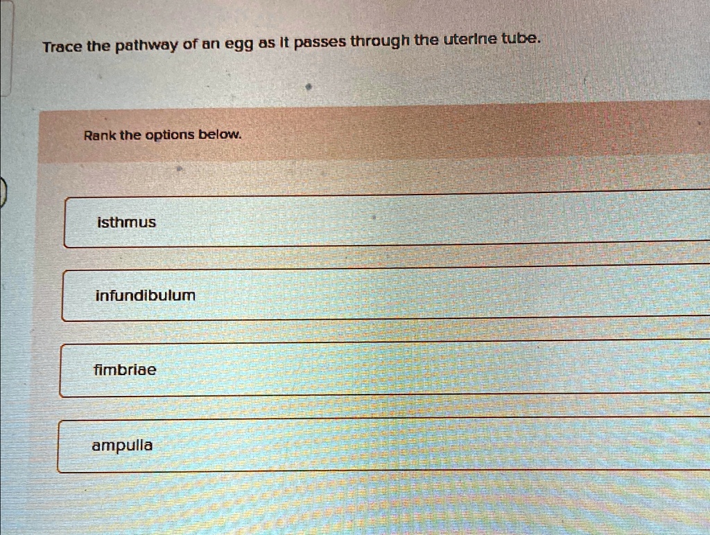 Trace the pathway of an egg as it passes through the uterine tube. Rank ...