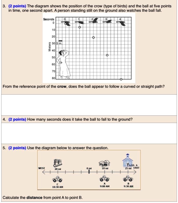 3. (2 points) The diagram shows the position of the crow (type of birds ...