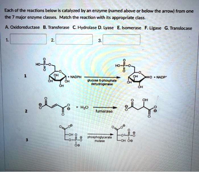 SOLVED: Each of the reactions below is catalyzed by an enzyme (named above or below the arrow ...