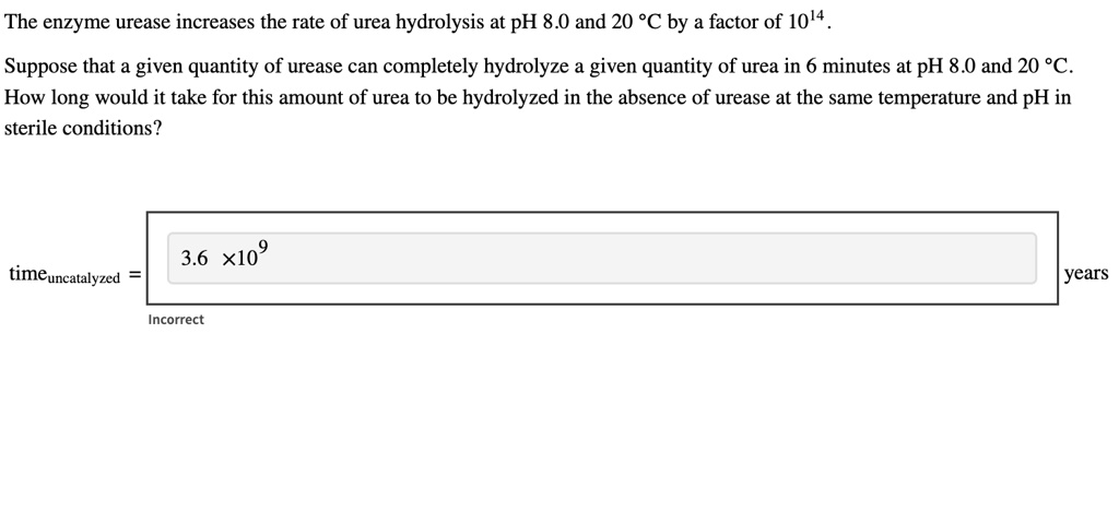 SOLVED: The enzyme urease increases the rate of urea hydrolysis at pH 8 ...
