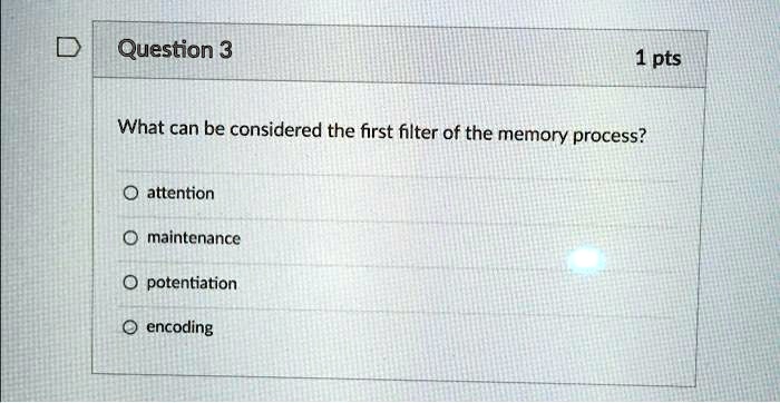 Question 3 1 pts What can be considered the first filter of the memory ...