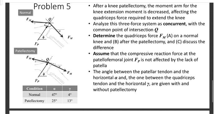 SOLVED: Problem 5 Normal After knee patellectomy; the moment arm for ...