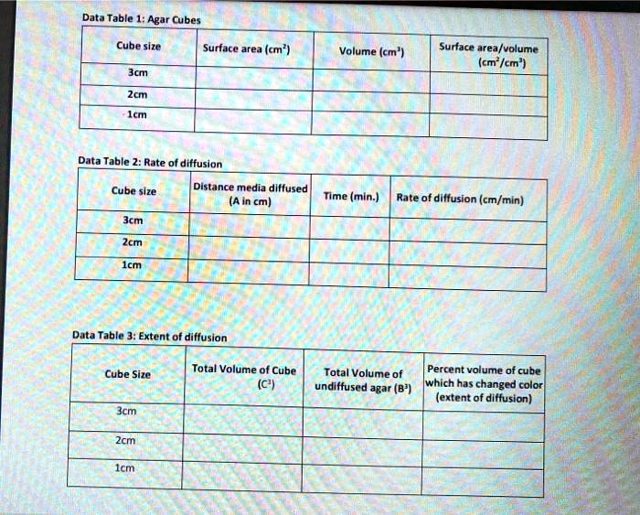 SOLVED: Data Table: Agar Cubes Cube Size Surface Area (cm^2) Volume (cm^3) Surface Area/Volume ...