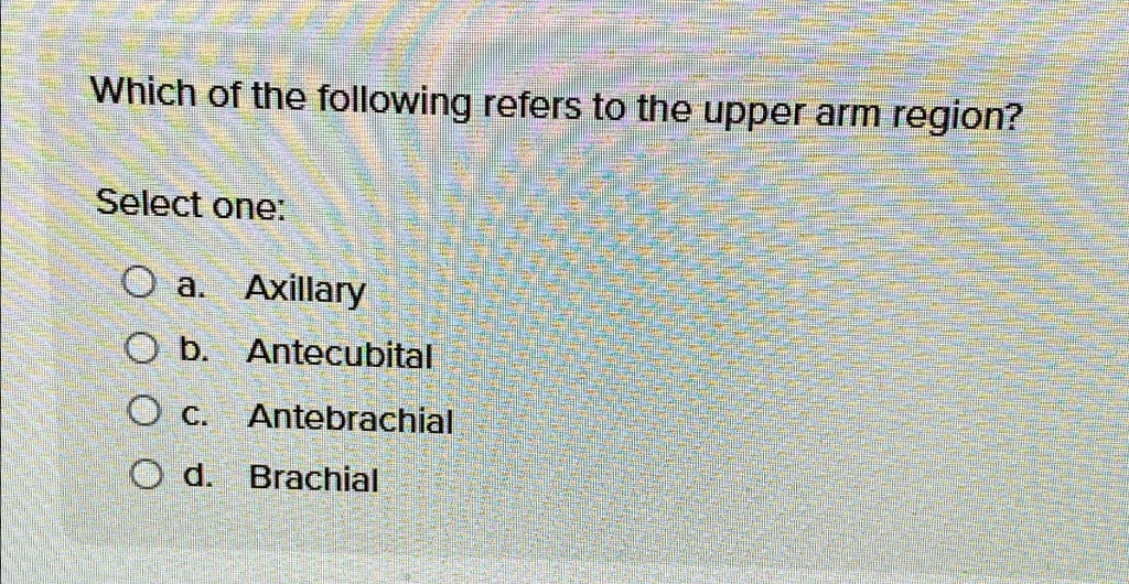 SOLVED: Which of the following refers to the upper arm region? Select ...