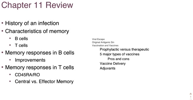 SOLVED:Chapter 11 Review History of an infection Characteristics of ...