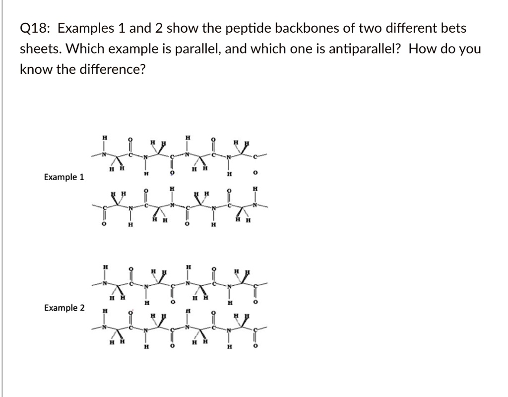 SOLVED: Q18: Examples 1 and 2 show the peptide backbones of two ...