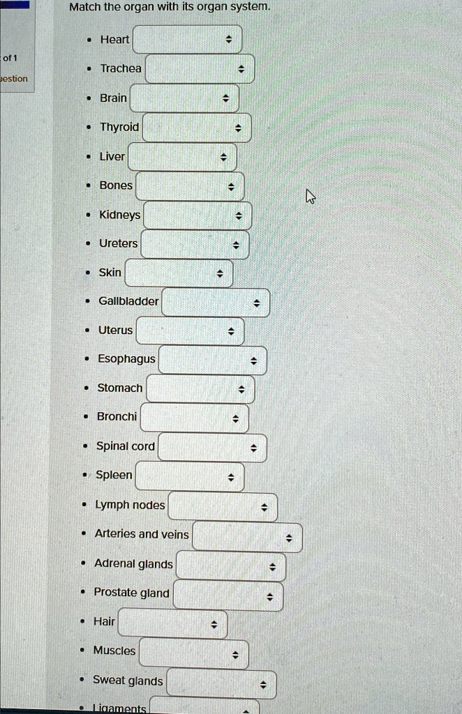 VIDEO solution: Match the organ with its organ system. Heart ...