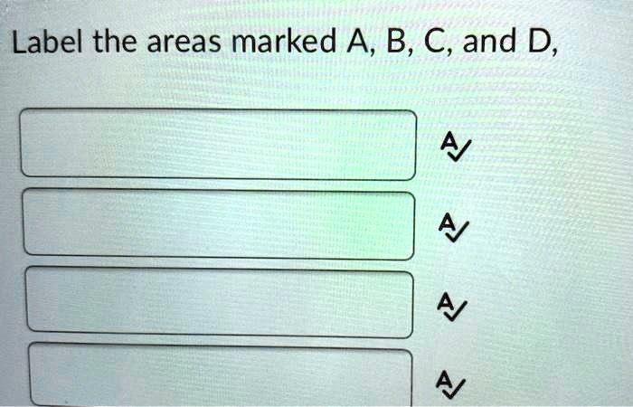 SOLVED: Label the areas marked A, B, C, and D, 4 N