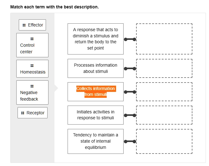 Match each term with the best description. :: Effector :: Control ...