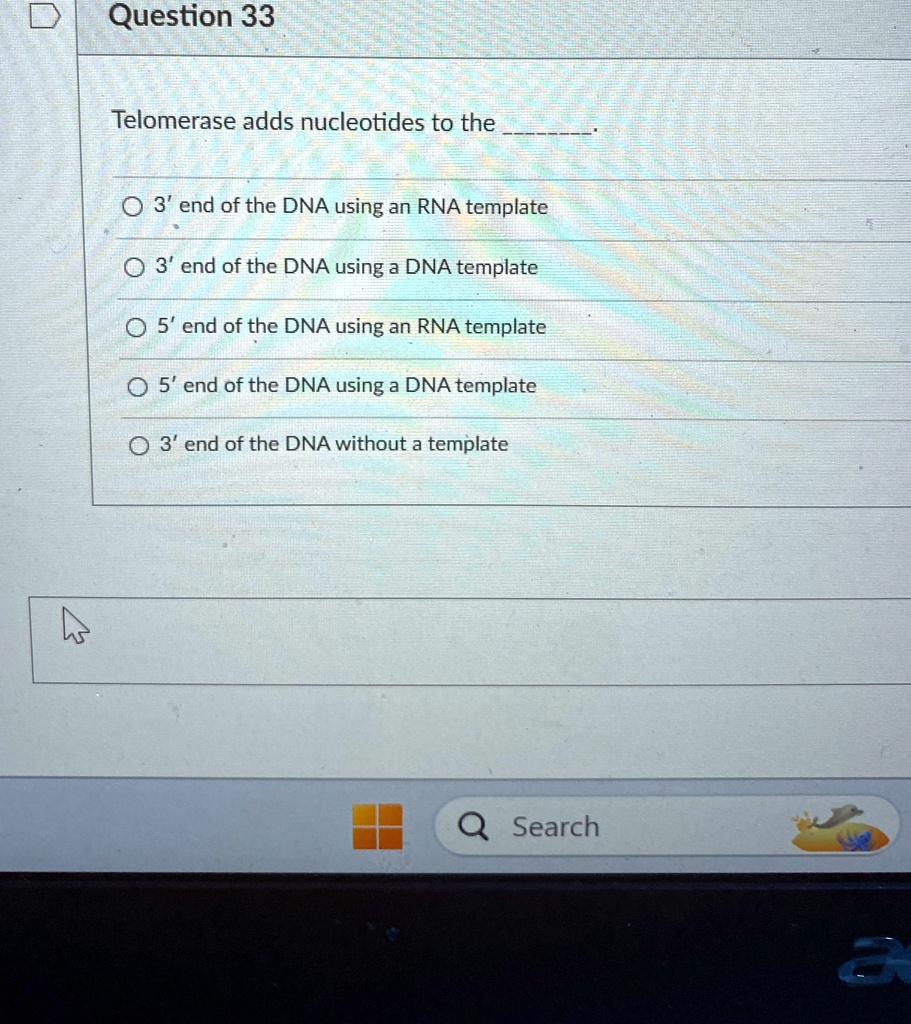 Question 33 Telomerase adds nucleotides to the . 3' end of the DNA ...