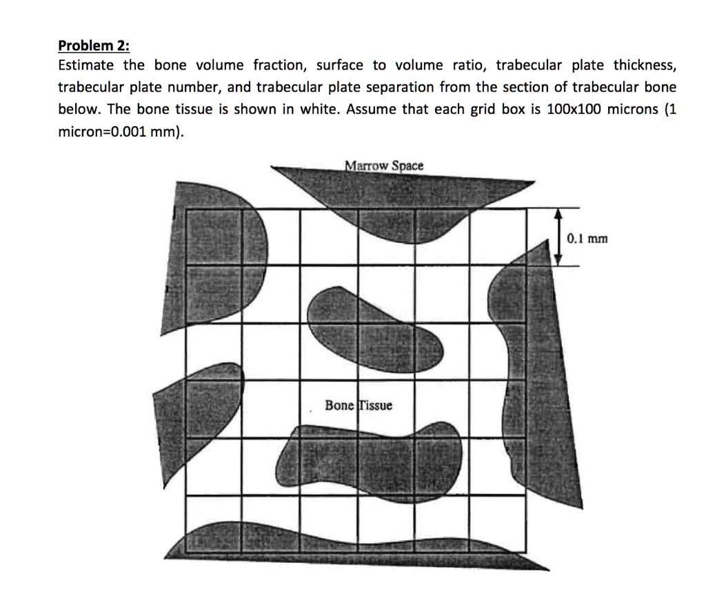 Problem 2: Estimate the bone volume fraction, surface to volume ratio ...