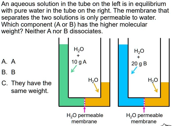 SOLVED: An aqueous solution in the tube on the left is in equilibrium ...