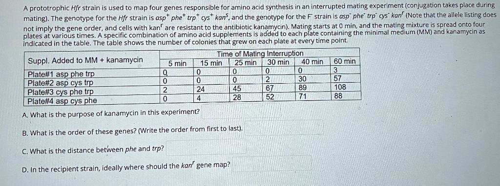 a prototrophic hfr strain is used to map four genes responsible for ...