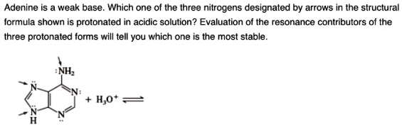 SOLVED: Adenine weak base. Which one of the three nitrogens designated ...