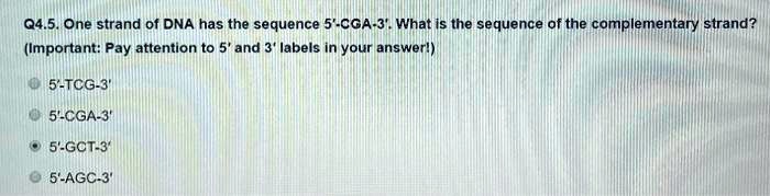 SOLVED: Q4.5. One strand of DNA has the sequence 5'-CGA-3'. What is the ...