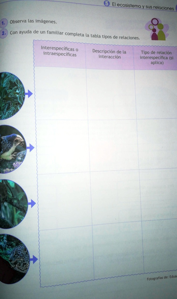 SOLVED: Me pueden ayudar porfavor lo necesito ya El ecosistemo suS ... SOLVED: Me pueden ayudar porfavor lo necesito ya El ecosistemo suS ...