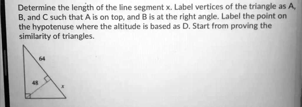 Determine the length of the line segment x. Label vertices of the triangle as A, B, and C such ...