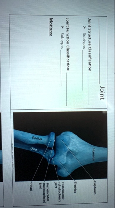 SOLVED: Joint Structure Classification Motions: - Subtype Joint Function Classification ...