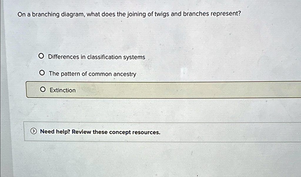 On a branching diagram, what does the joining of twigs and branches ...