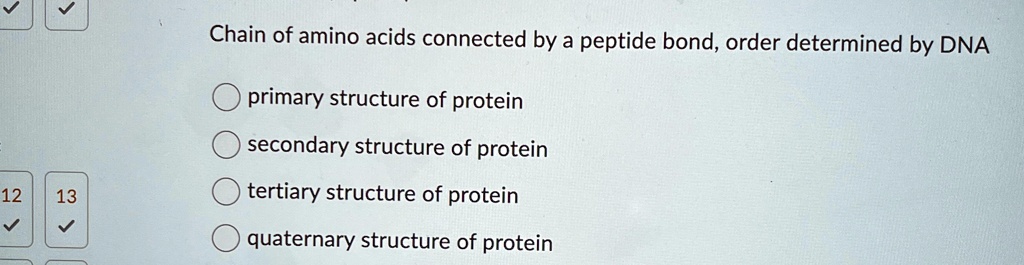 Chain of amino acids connected by a peptide bond, order determined by ...