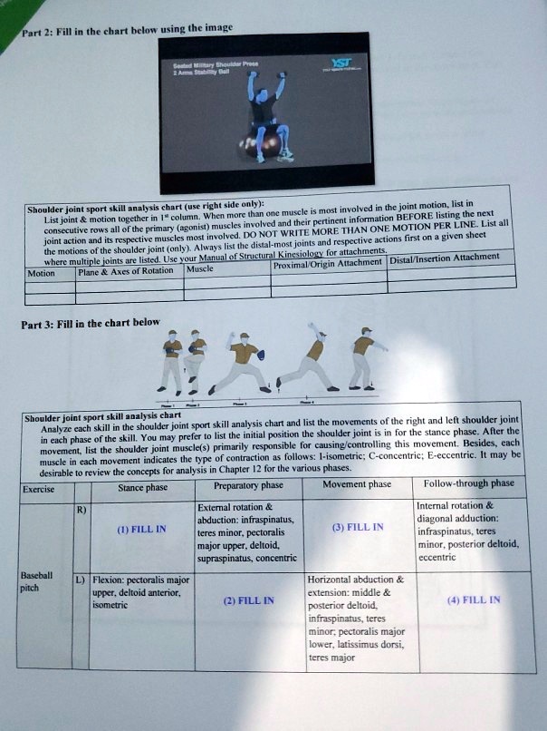 SOLVED: Part 2: Fill in the chart below using the image Shoulder joint ...