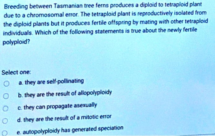 Breeding between tasmanian tree ferns produces diploid to...