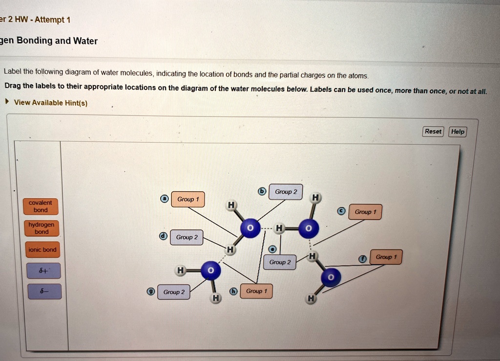 er 2 HW-Attempt 1 gen Bonding and Water Label the following diagram of ...