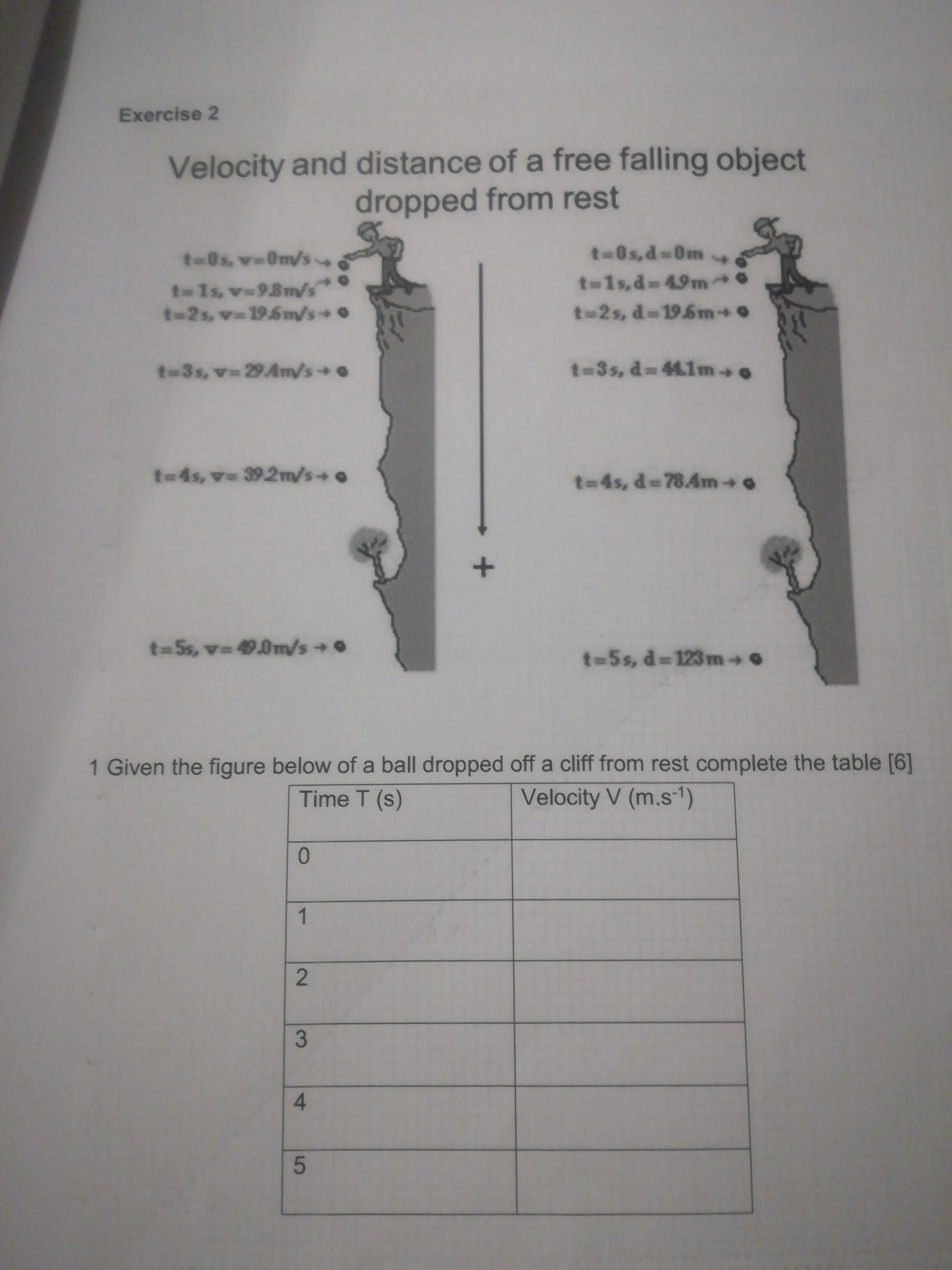 SOLVED: Exercise 2 Velocity and distance of a free falling object 1 ...