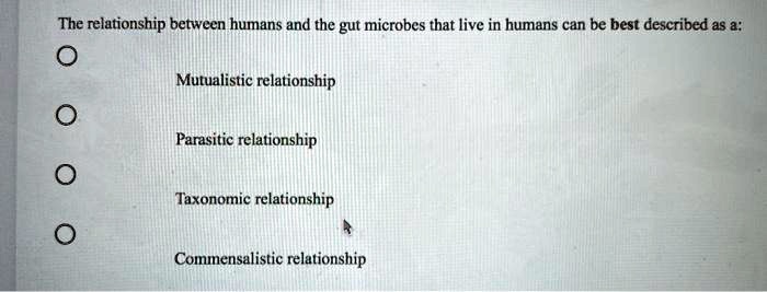 SOLVED: The relationship between humans and the gut microbes that live ...