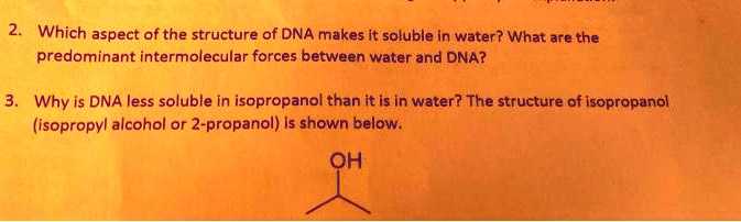 SOLVED: Which aspect of the structure of DNA makes it soluble In water ...