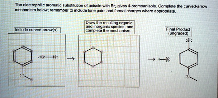 the electrophilic aromatic subslltulion of anisole with brz gives ...